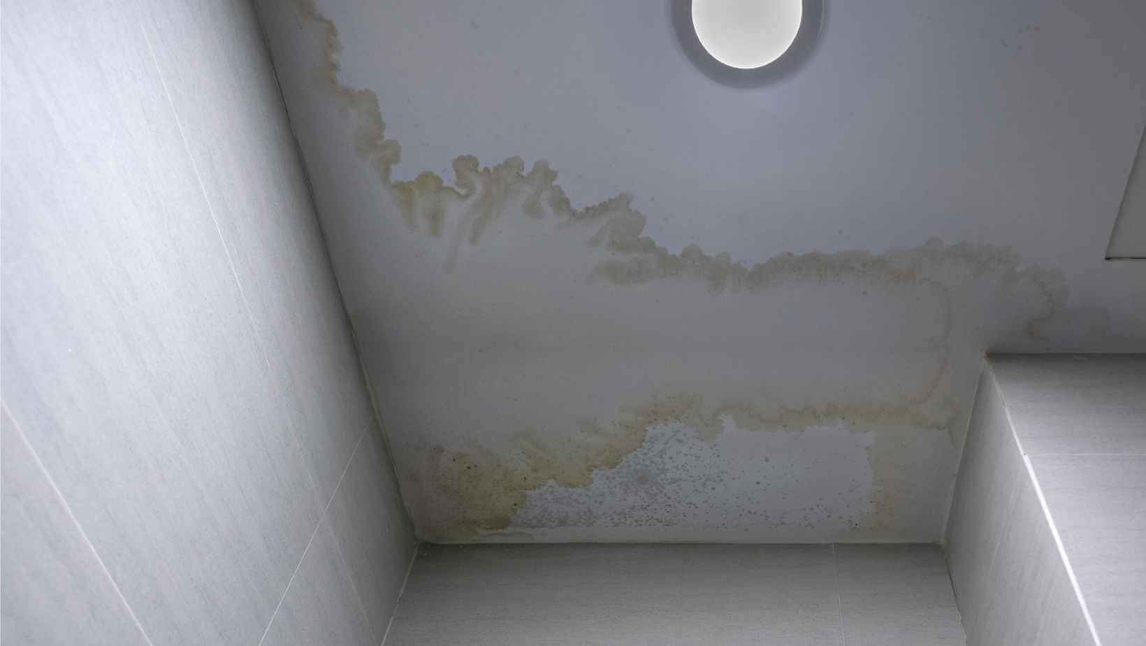 Condensation On The Ceiling: Causes And Solutions
