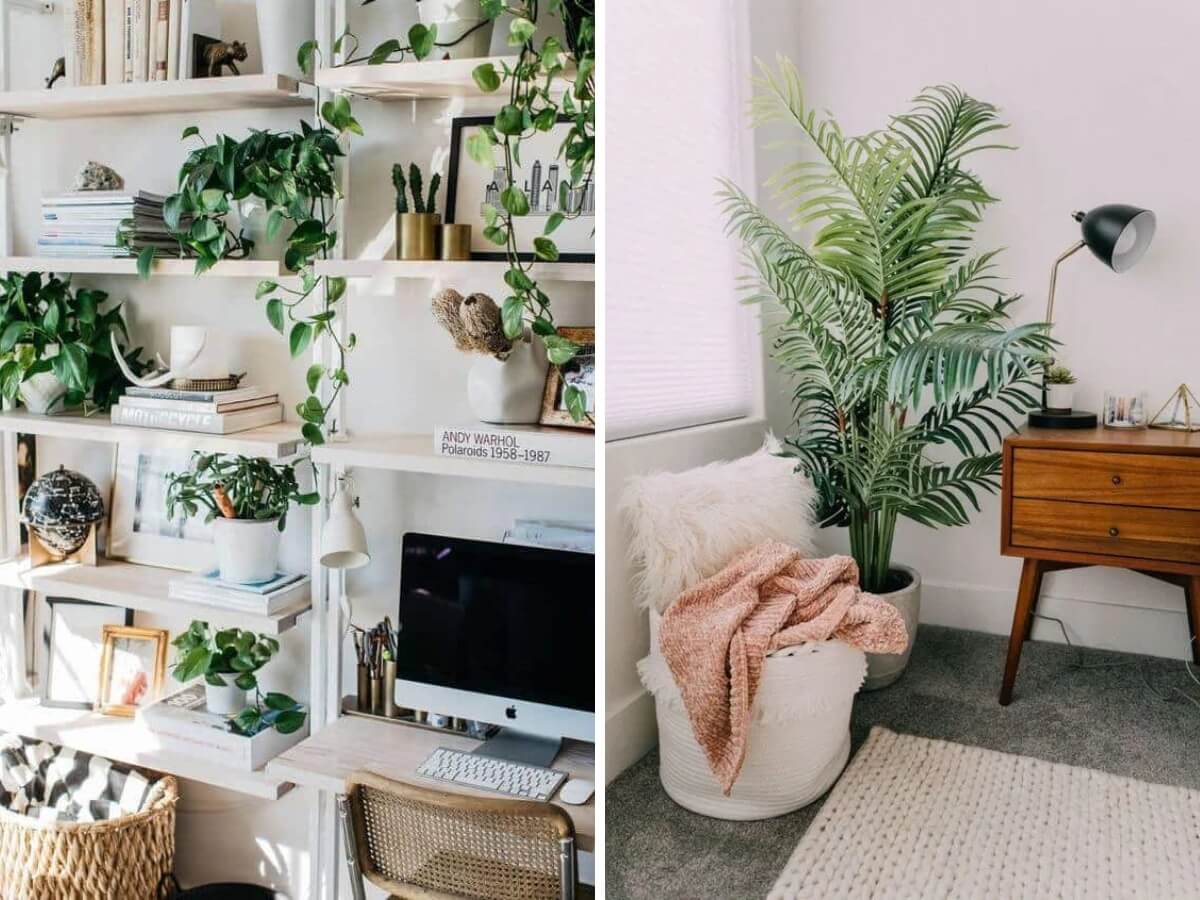 32 Office Plants You’ll Want To Adopt